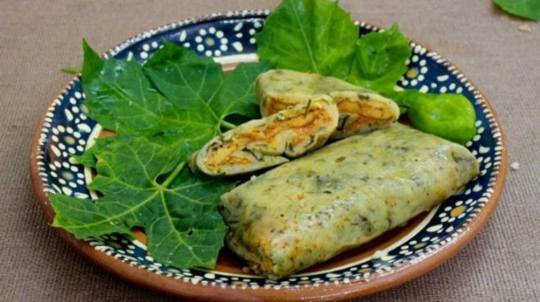 La chaya, el arbusto prodigioso de los mayas - 5 Septiembre