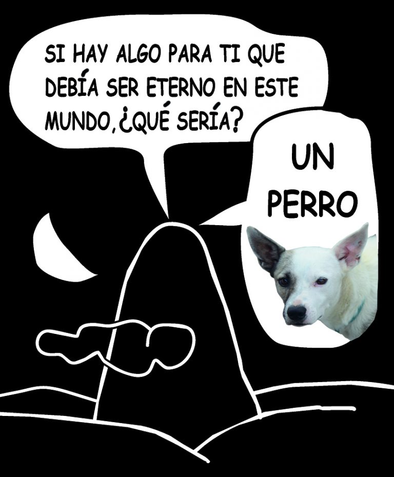 Orozuz, ¿condimento, medicina o alimento?